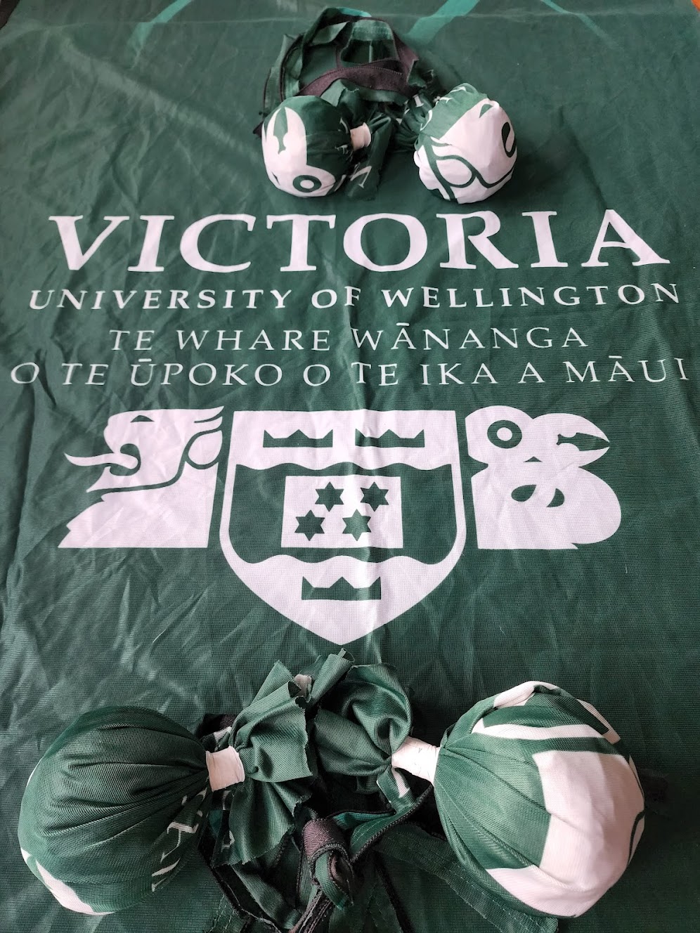 Tū Mātau Ora – Founded on the vision of Mātauranga Māori Informing ...